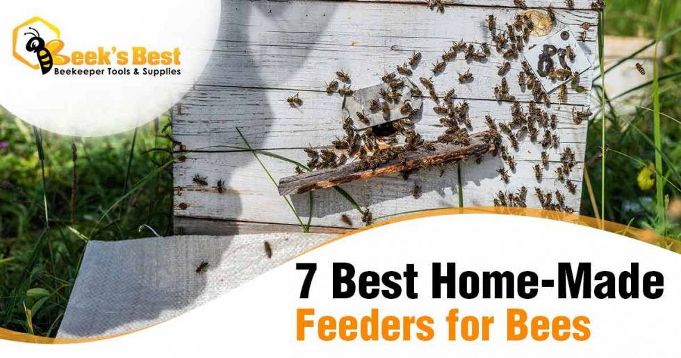 7 Best Home-Made Feeders for Bees - Beekeeping Feeding Tips