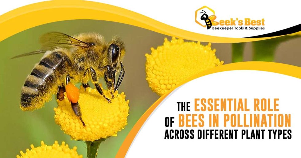 The Essential Role of Bees in Pollination Across Different Plant Types ...
