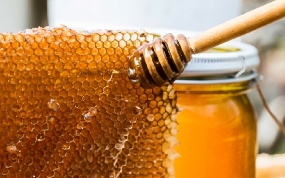 Top Honey Extraction Equipment: Best Selection for Beekeepers